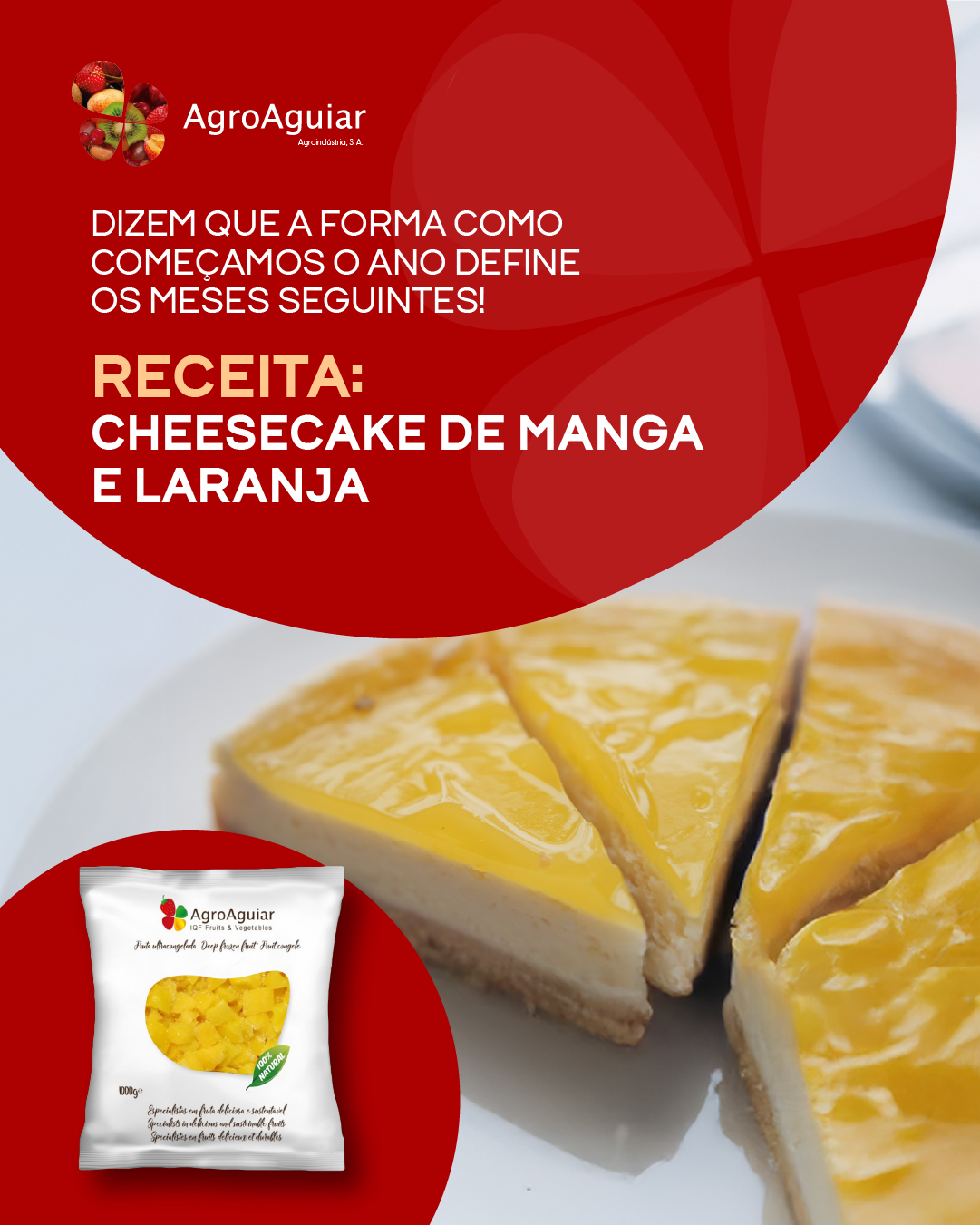 Recette : Cheesecake à la mangue et à l'orange ! - AgroAguiar